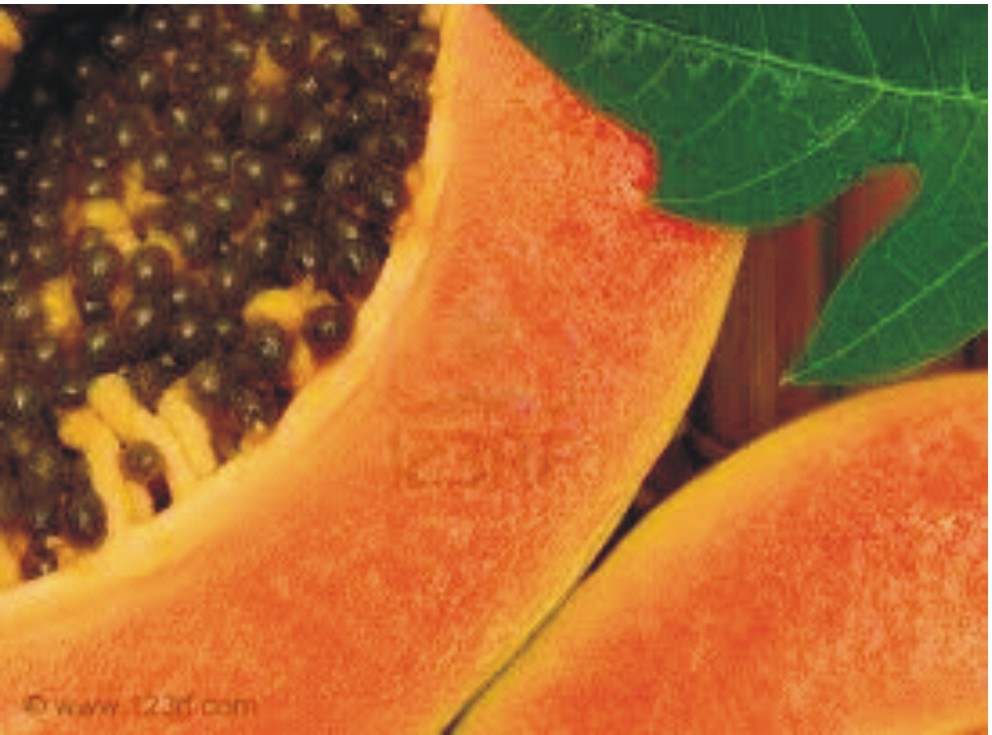 Papaya – Himalayanblossoms