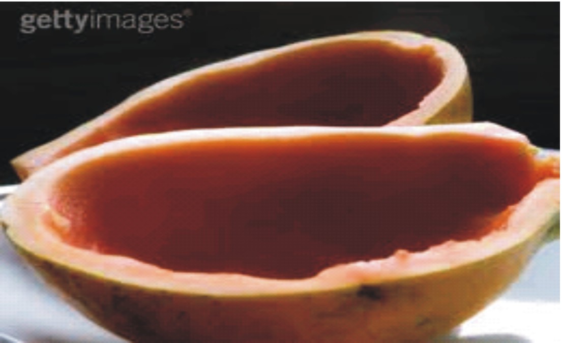 Papaya – Himalayanblossoms