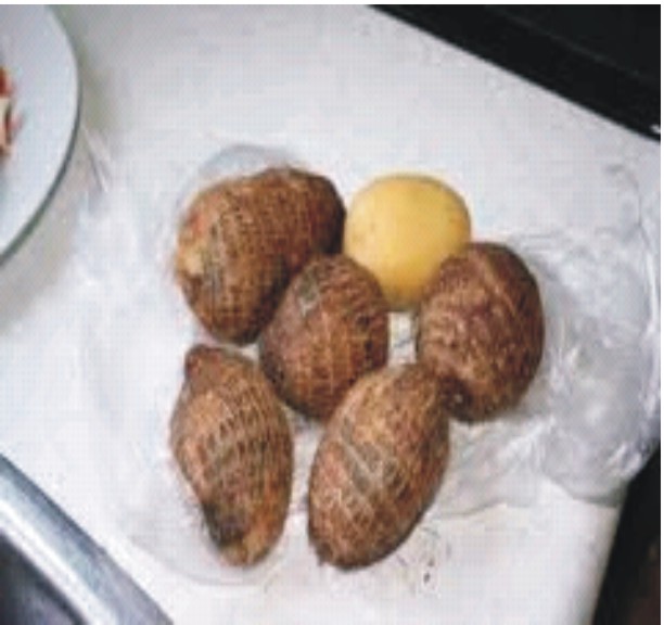 Tannia – Himalayanblossoms