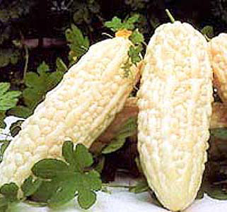 Carilla – Himalayanblossoms