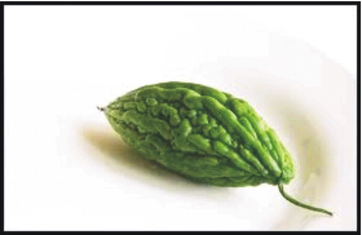 Carilla – Himalayanblossoms