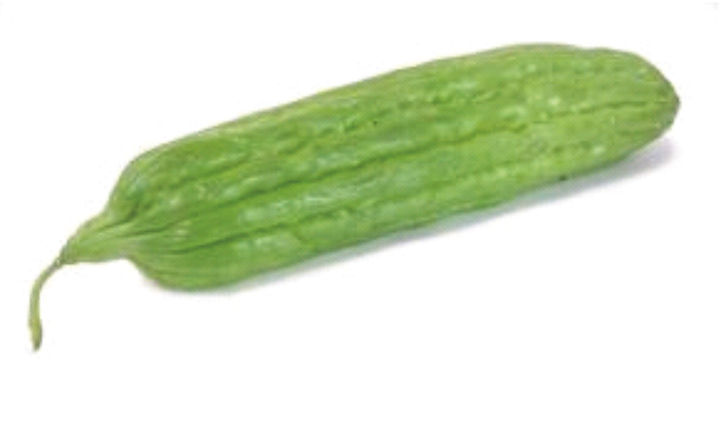 Carilla – Himalayanblossoms