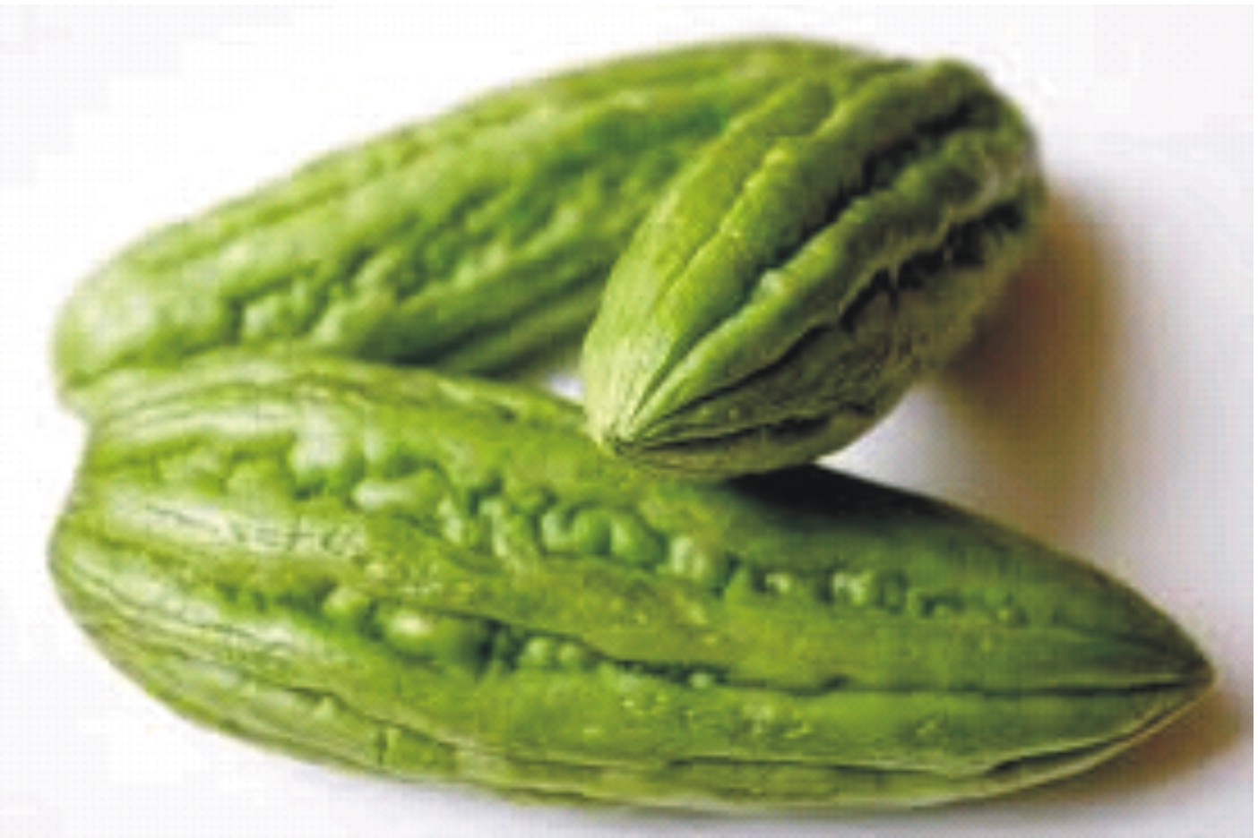 Carilla – Himalayanblossoms