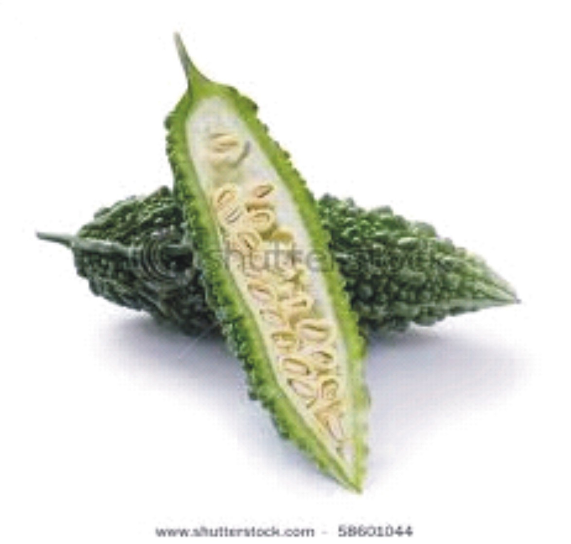 Carilla – Himalayanblossoms