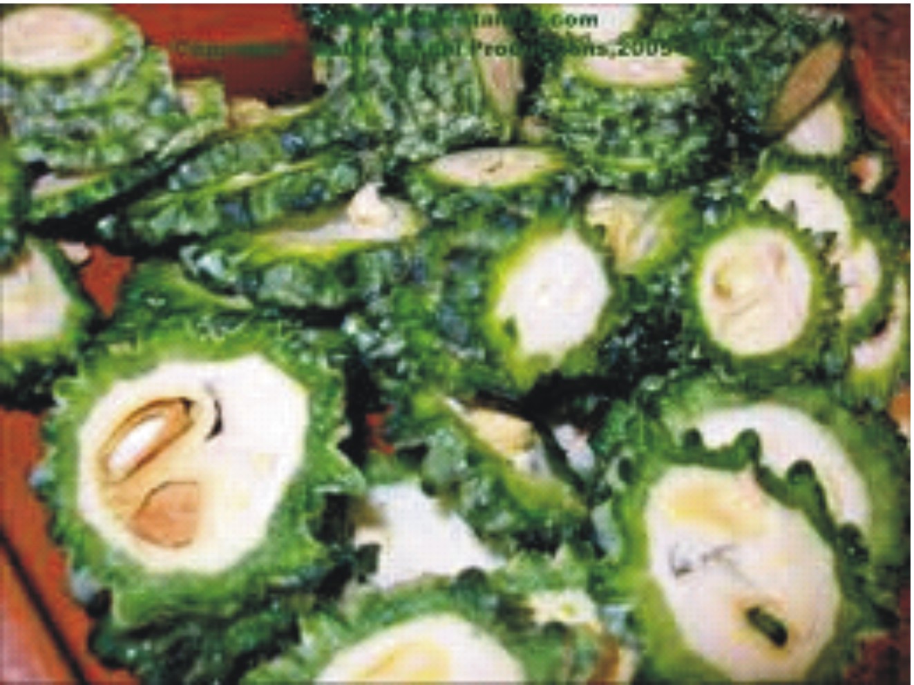 Carilla – Himalayanblossoms